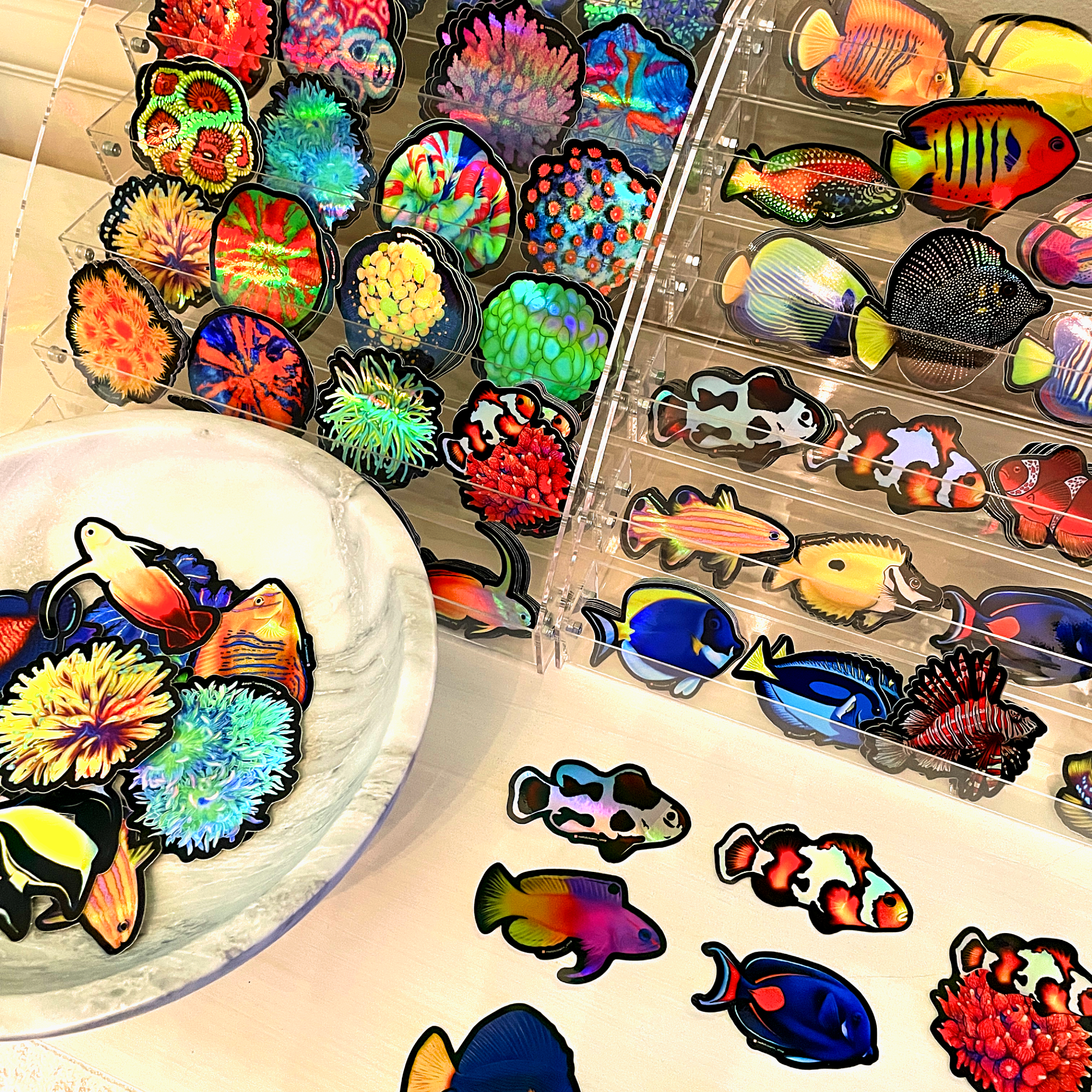 Saltwater Fish and Corals Stickers – Reef of Clowns LLC